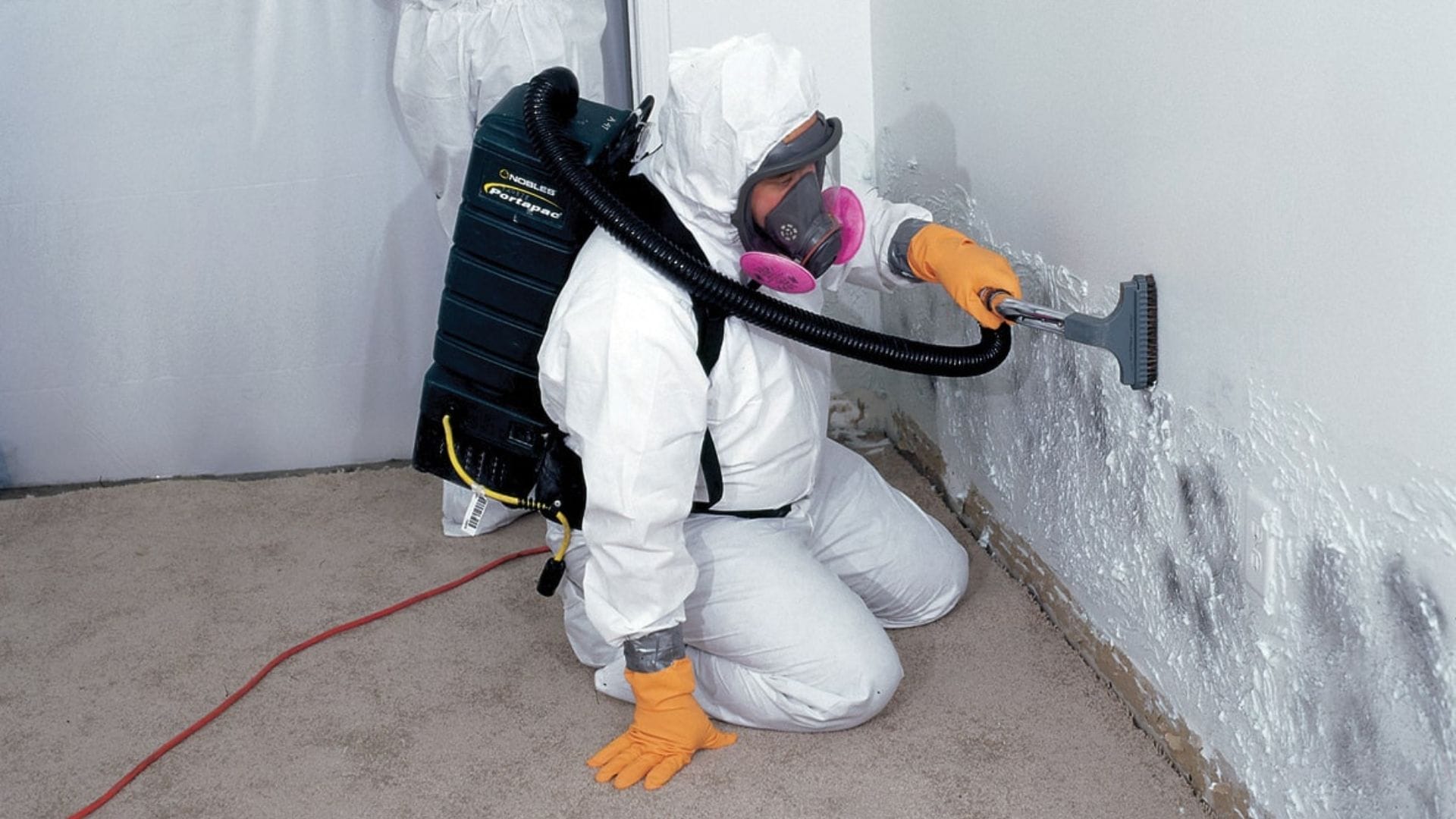 The Cost of Delayed Mould Remediation in Southeast Asia