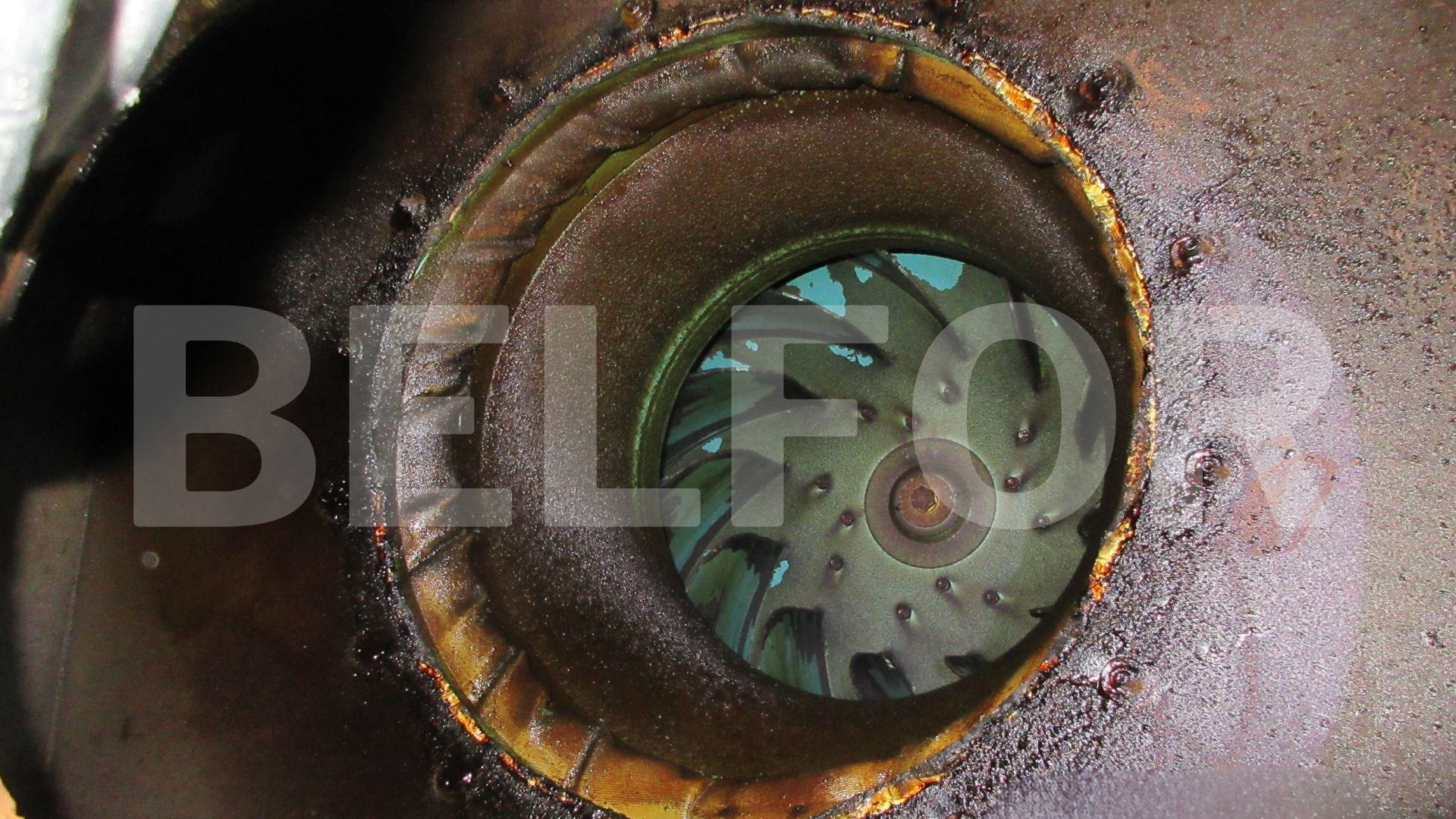 BELFOR Elevates the Air Quality of a Major Cruise Ship - BELFOR Singapore