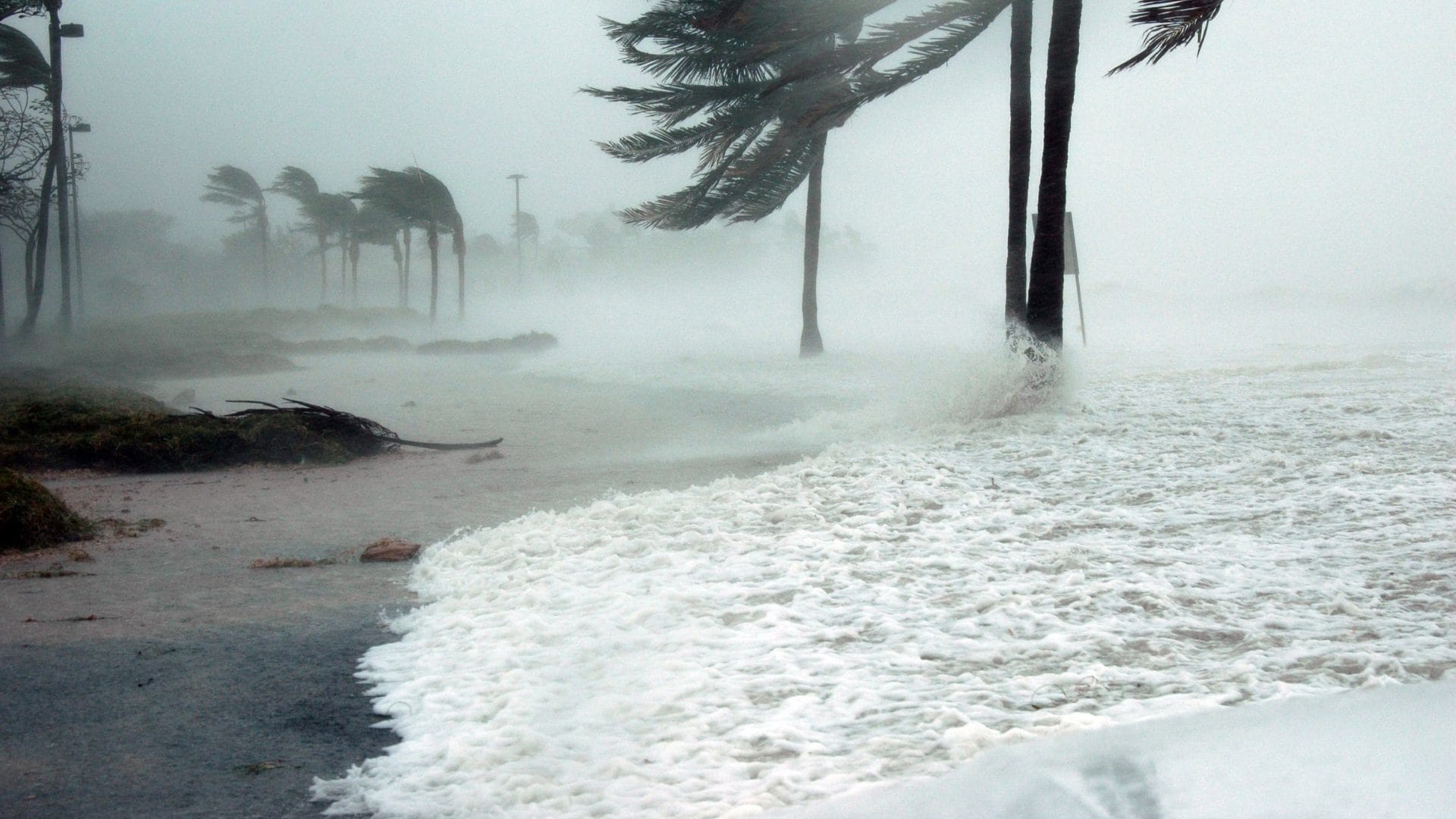 Typhoon Protection Tips for Coastal Facilities in Singapore