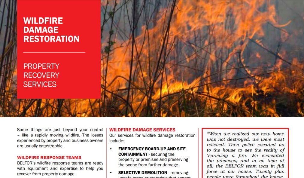 Professional Wildfires Restoration Services