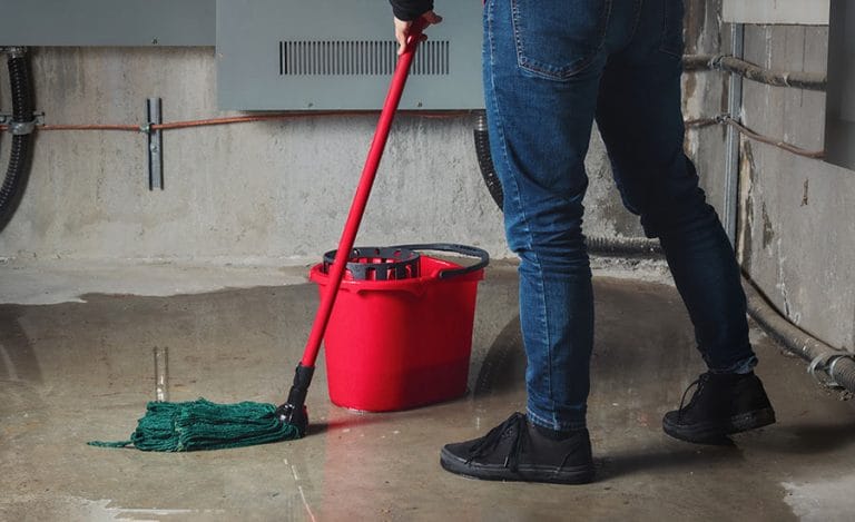 Sewage Damage Cleanup: What You Need to Know