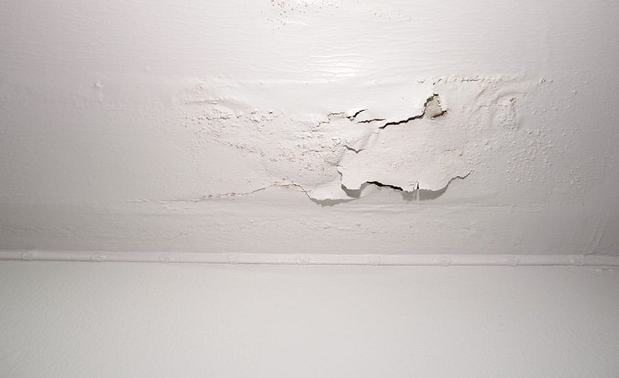 How to Identify Signs of Water Damage in Walls Effectively