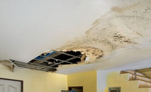 Water Damage Cleanup: Key Steps for Quick Recovery