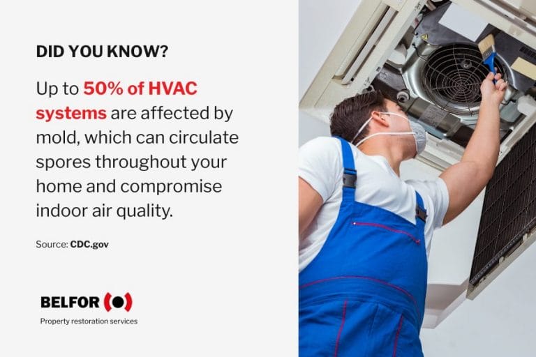Mold In Air Vents & Ducts [Causes & 2026 Cleaning Guide]
